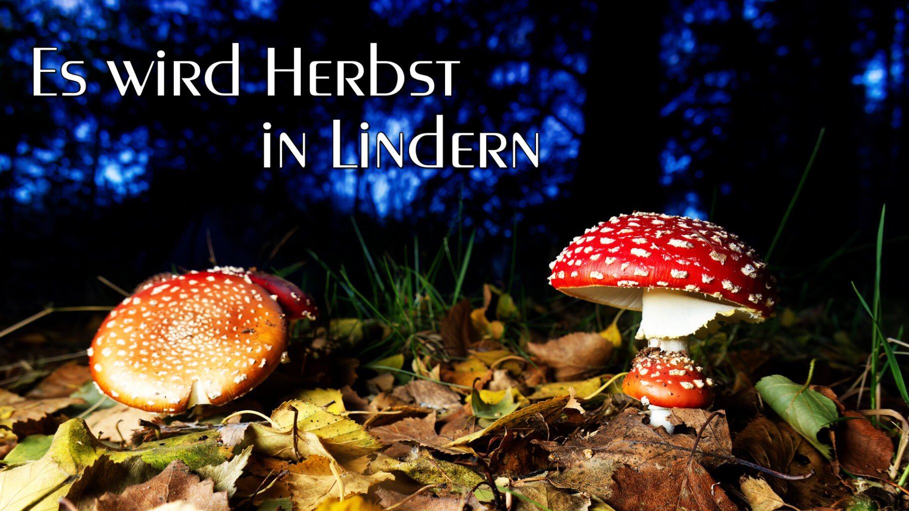 Linduri.de - Lindern im Oldenburger Münsterland